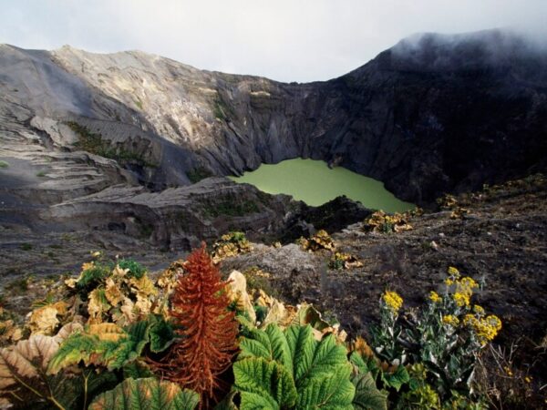 Volcán Irazú / Valle de Orosi / Jardines Lankester – Viajes Nana